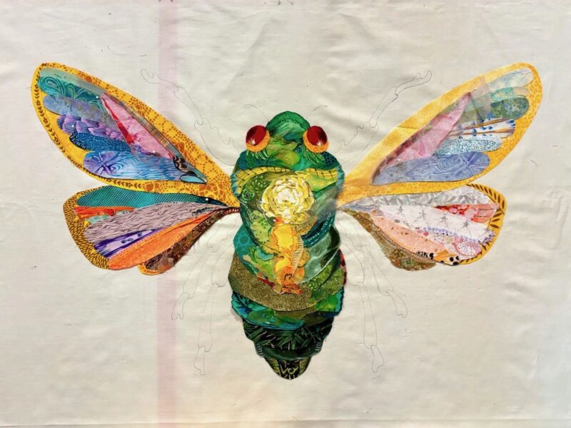 Fascinating Bugs and Butterflies: Student Fabric Collage Quilts 2 ...